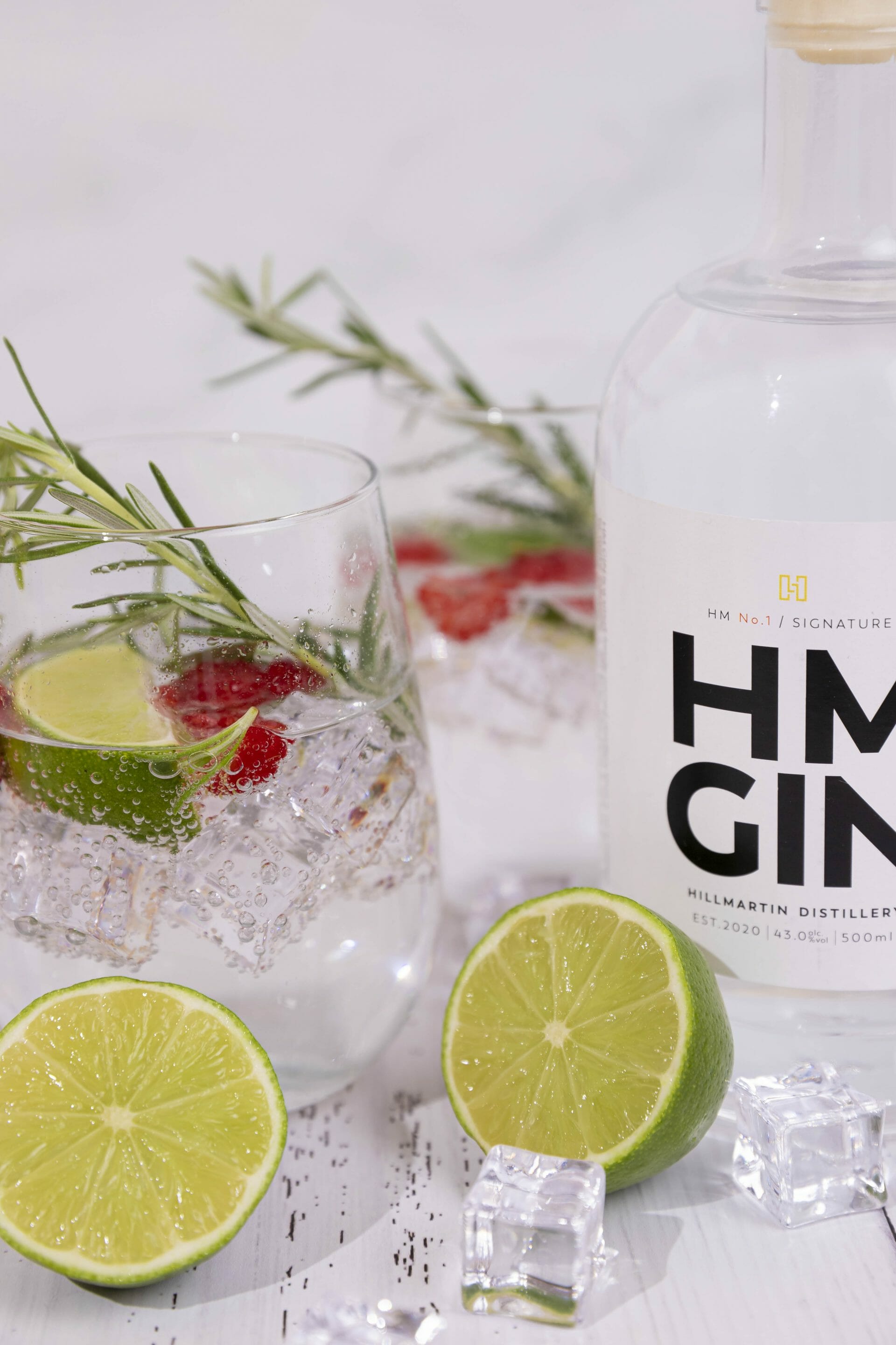 Buy Anise Gin Online | HM Gin