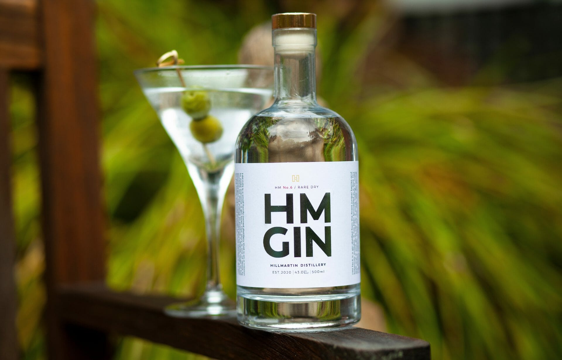5 Best Gin cocktails to make at home - Hillmartin Gin Distillery